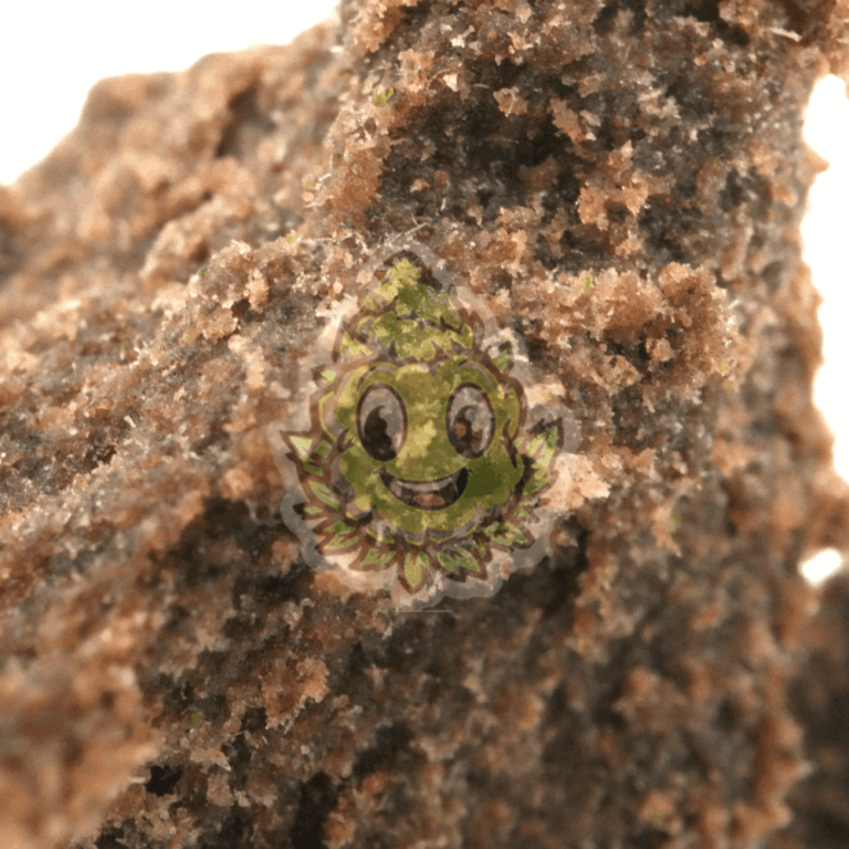 Hasj Kopen Online » Budsy.nl 2025