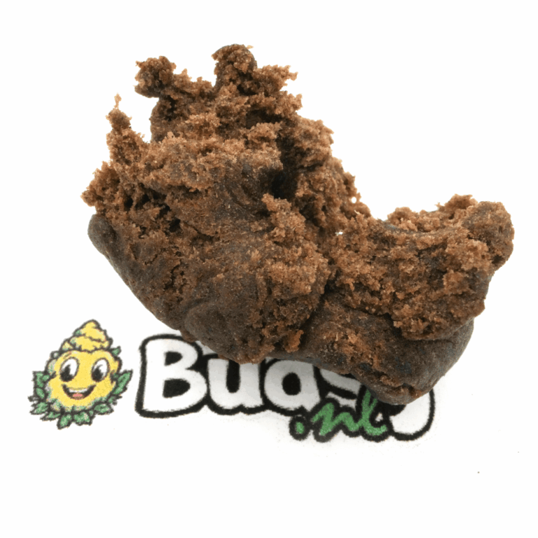 Hasj Kopen Online » Budsy.nl 2025