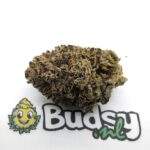 Wiet Bestellen Online » Budsy.nl 2025