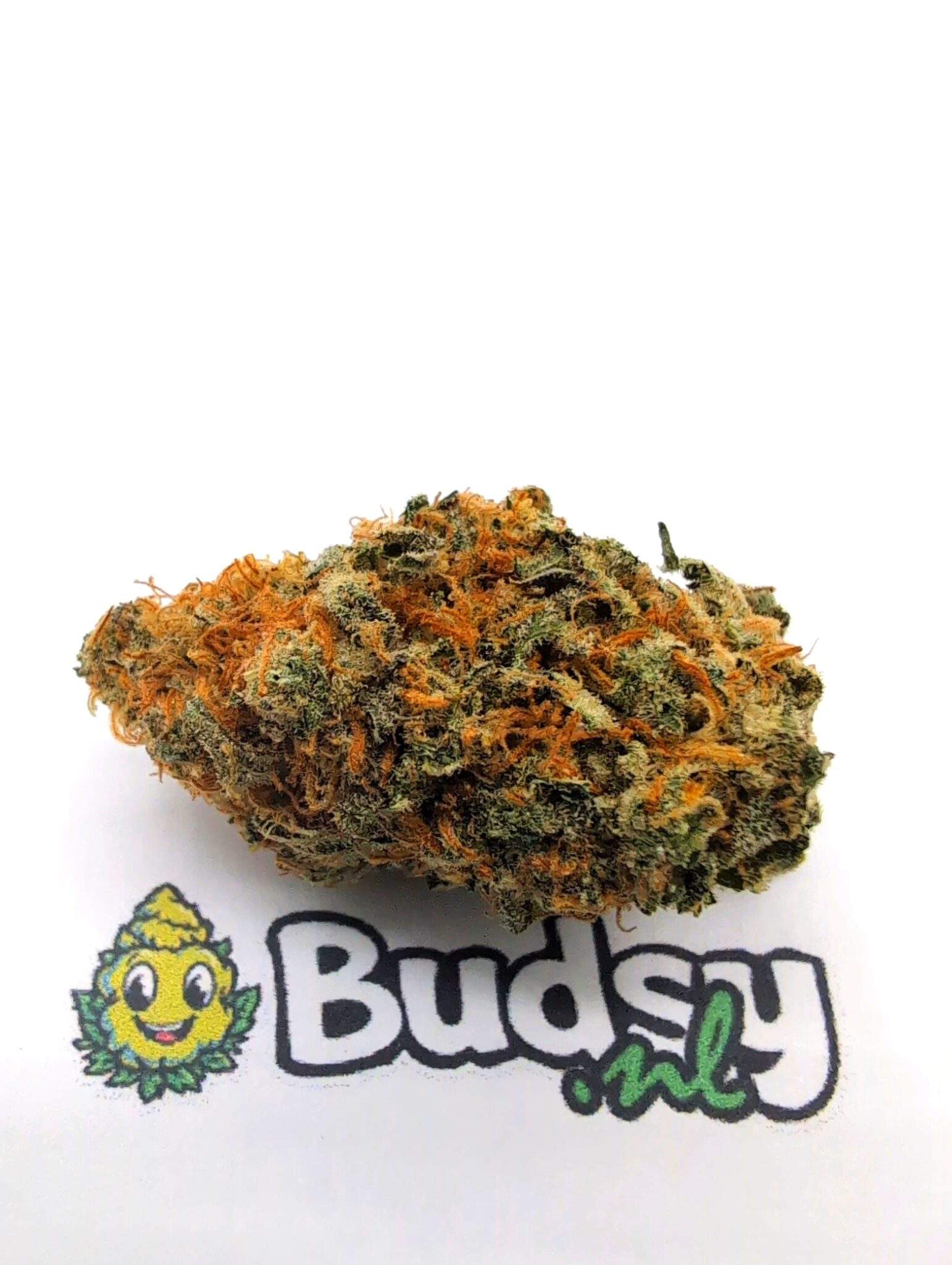 Buy weed | Discreet delivery with tracking | Budsy.nl 2025