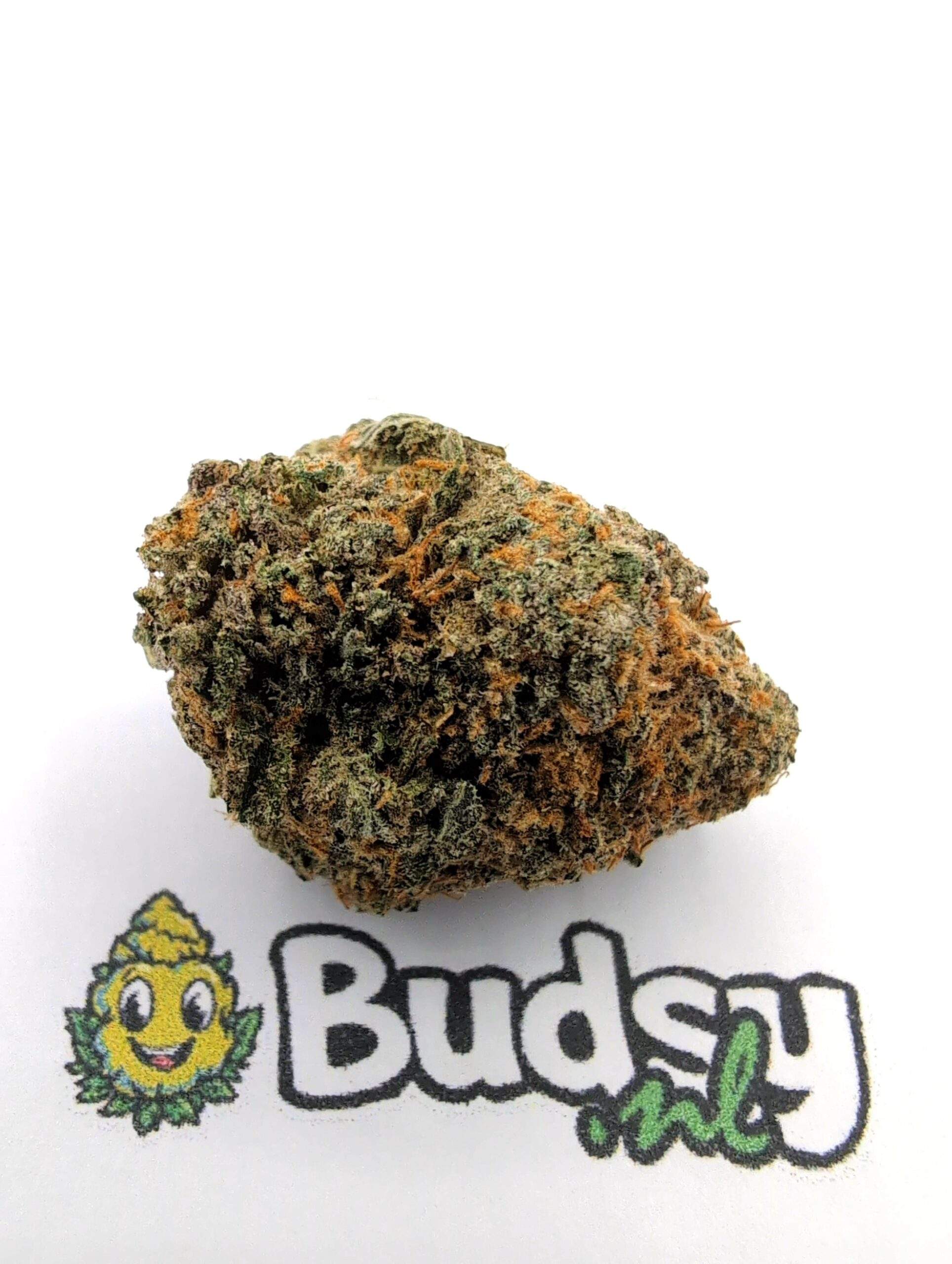 Animal cookies Wiet Kopen » Budsy.nl 2025