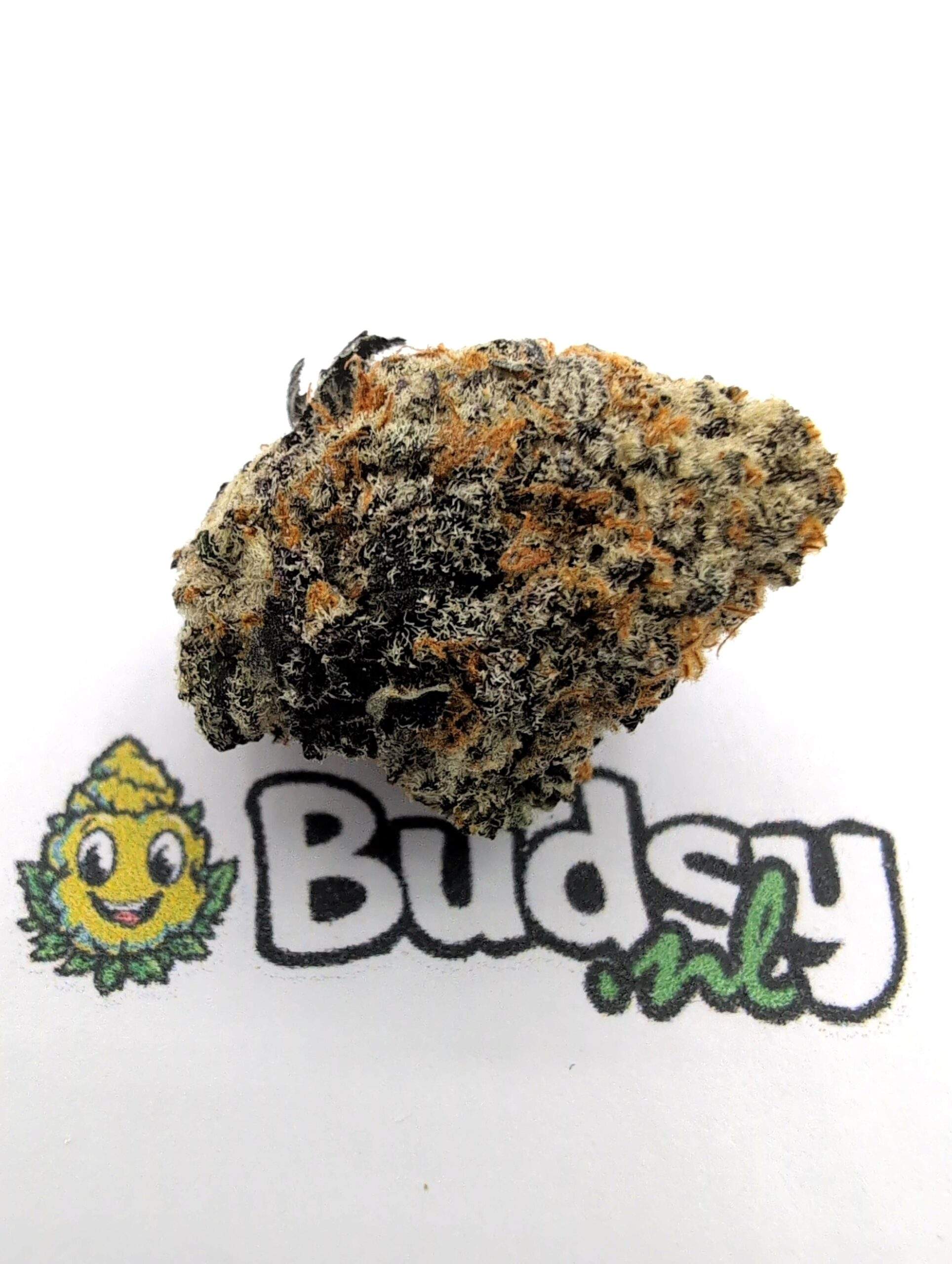 Banana Punch Wiet Kopen » Budsy.nl 2025