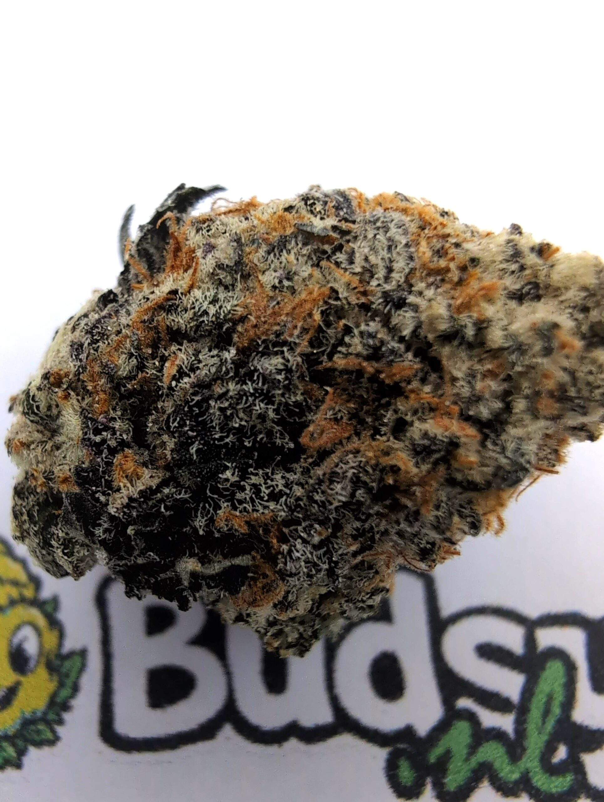 Banana Punch Wiet Kopen » Budsy.nl 2025