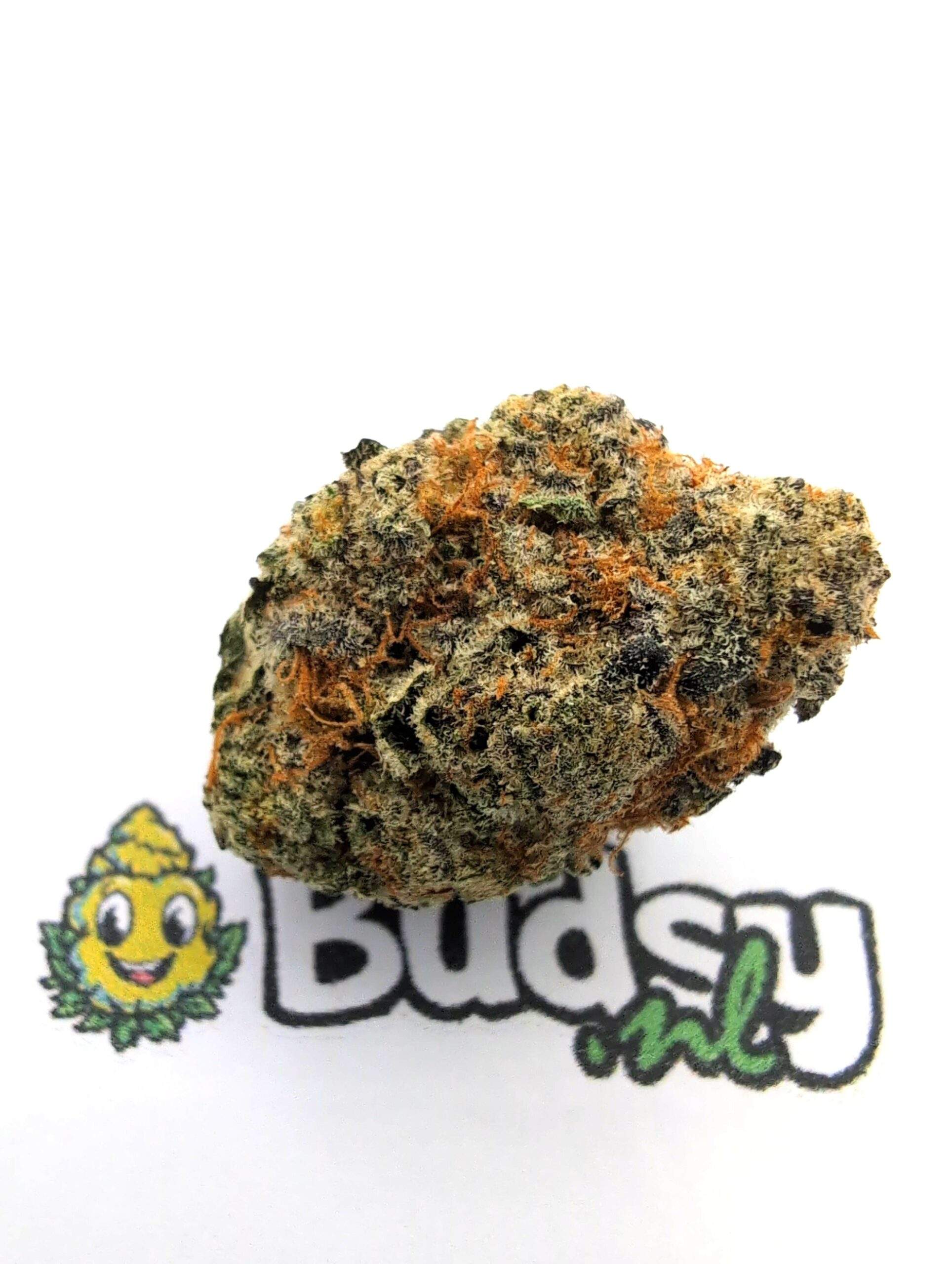Blueberry Muffin Wiet Kopen » Budsy.nl 2025
